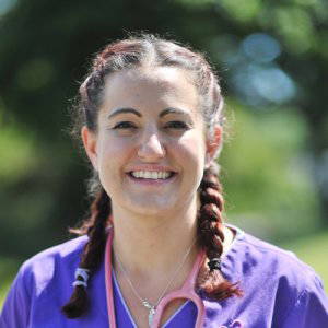 Meet the wonderful veterinary team at Hythe Veterinary Centre