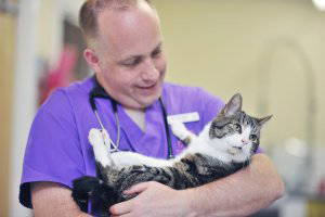 A huge range of outstanding vet services at Hythe Veterinary Centre