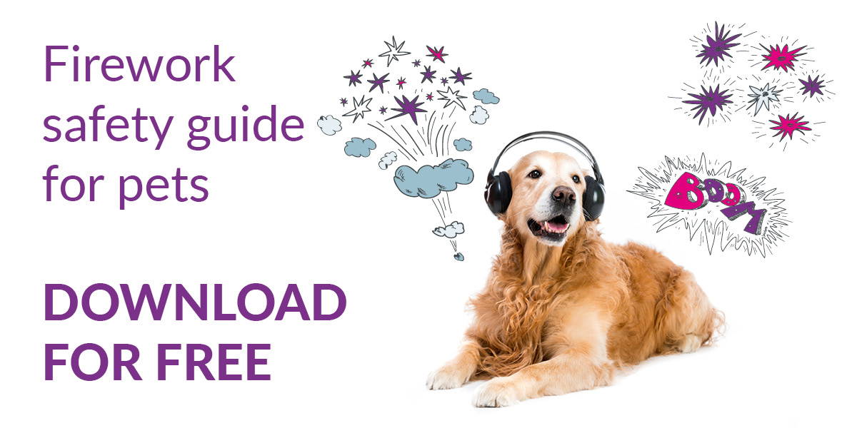 Pets and Fireworks: FREE Safety Guide - Hythe Veterinary Centre