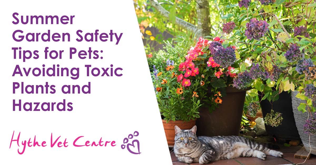 Summer Garden Safety Tips for Pets: Avoiding Toxic Plants and Hazards ...